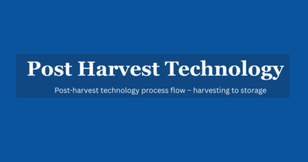 Post Harvest Technology In Agriculture: A Complete Guide